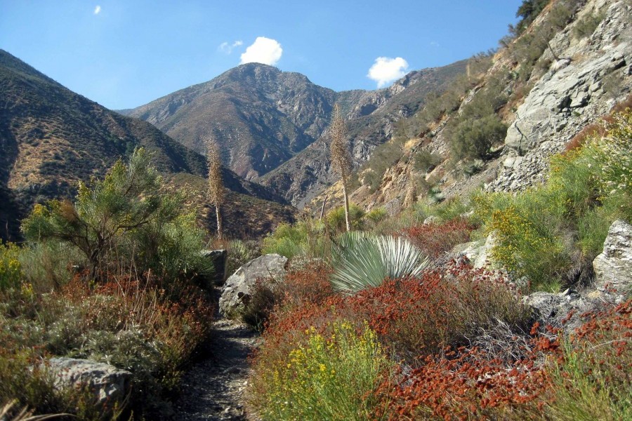 San Gabriel Mountains National Monument - The Conservation Alliance