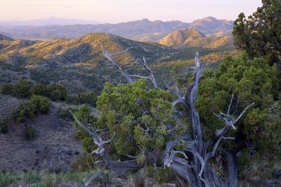 Cedar Mountains, Utah - The Conservation Alliance
