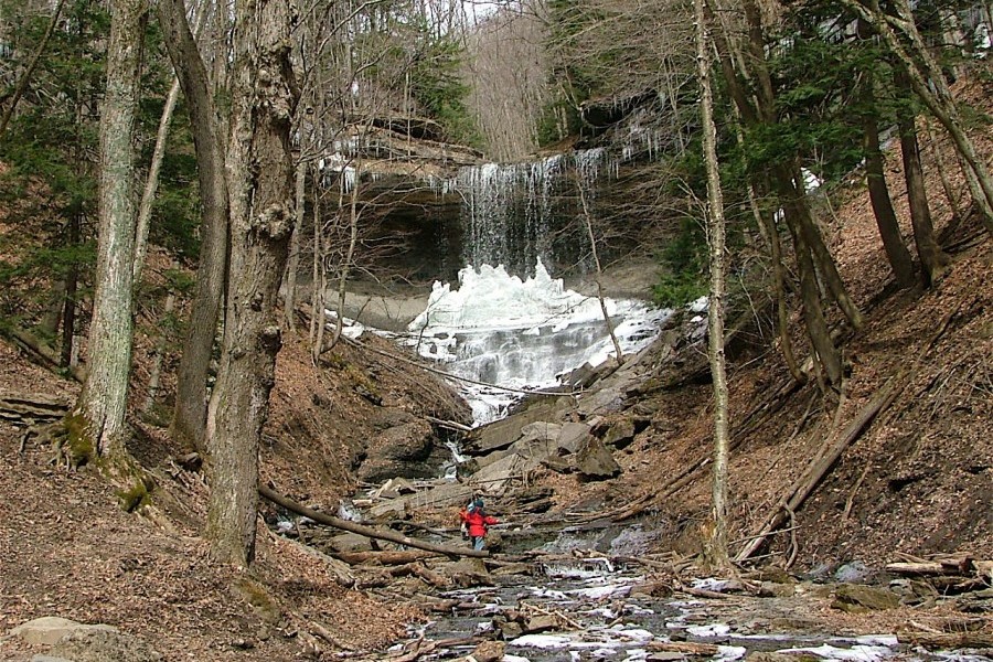 New York State Forests - The Conservation Alliance