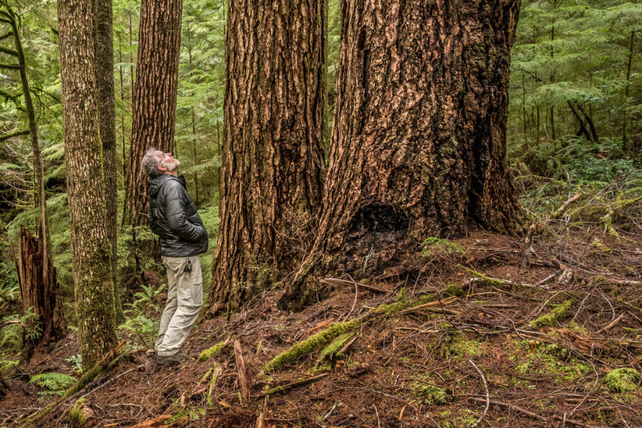 Elliott State Forest - The Conservation Alliance