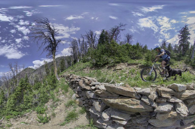 Protecting Montana's Gallatin Gateway - The Conservation Alliance