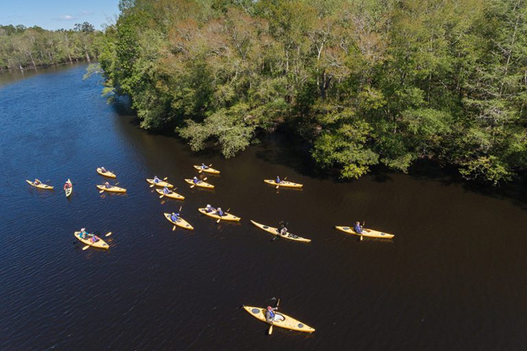 Success Stories - The Conservation Alliance