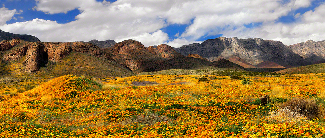 News - The Conservation Alliance