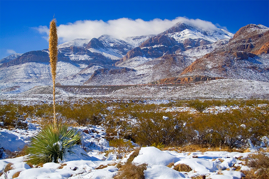 Castner Range National Monument - The Conservation Alliance